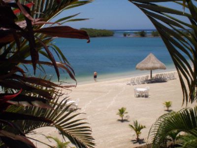 TURQUOISE BAY DIVE & BEACH RESORT - Roatan Milton Bight 34101