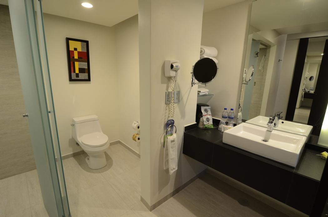 HOLIDAY INN® MEXICO DALI AIRPORT BY IHG - Mexico City Viaducto Rio De ...